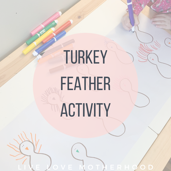 Turkey Feather Activity