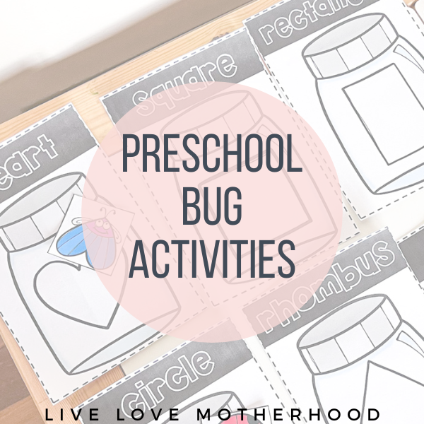 Preschool Bug Activities